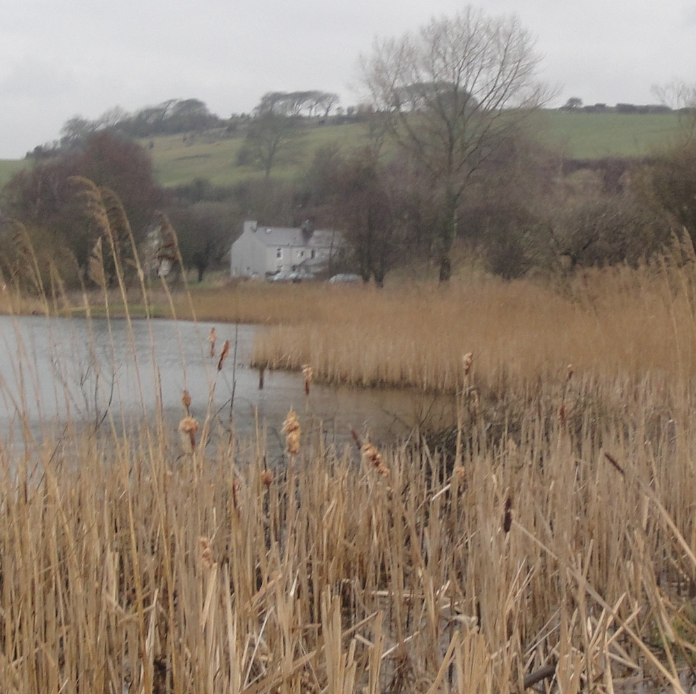 Bogs and climate | Bogology